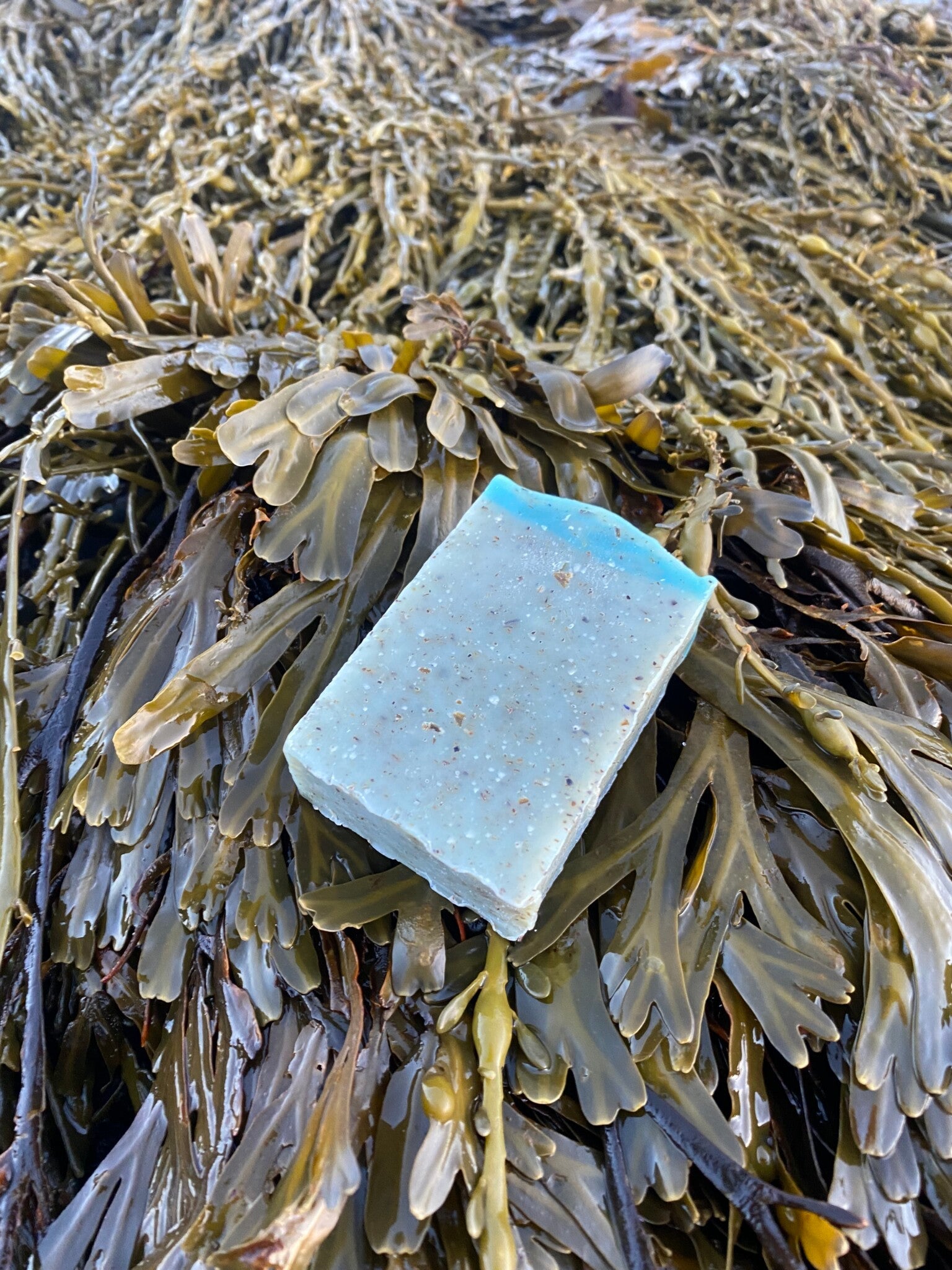 Tangsåpe - Lofoten Seaweed – glott.no